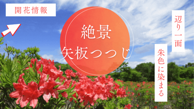 【栃木】矢板温泉グランピング yulampi -ユランピ-｜【リゾグラ】リゾートグランピングドットコム